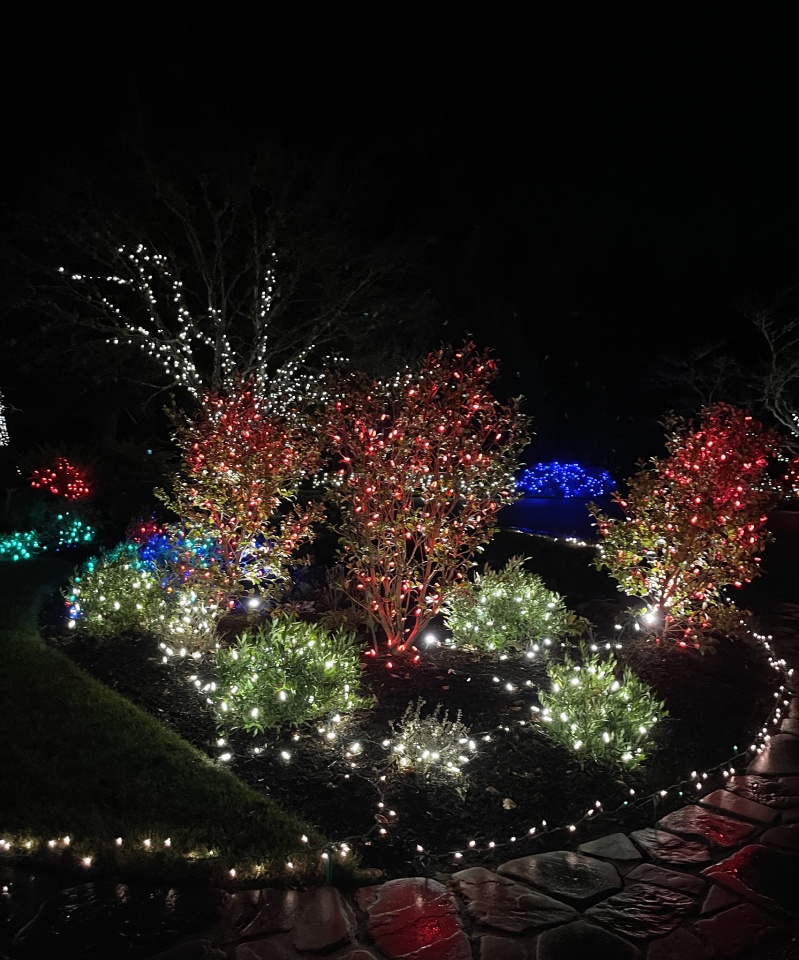 Christmas Lights | loisbiz | Blipfoto