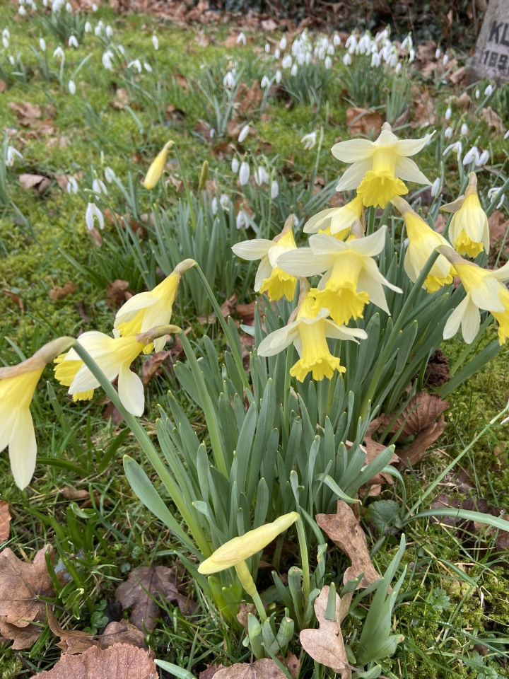 Spring time | sister | Blipfoto