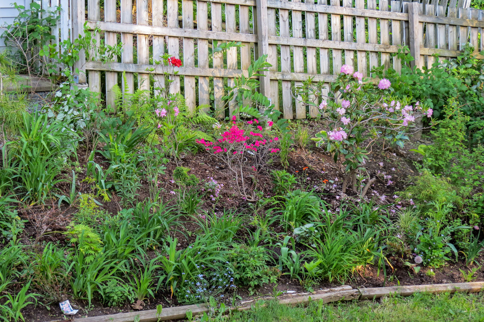 My garden | KathyH58 | Blipfoto