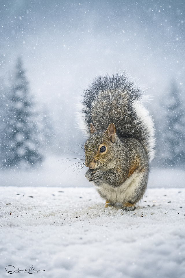 AI Magic | dbifulco | Blipfoto