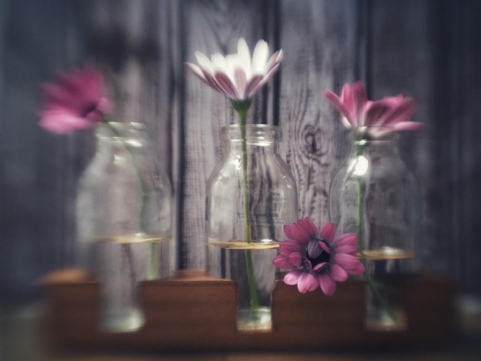 Simple still life | Evie11 | Blipfoto