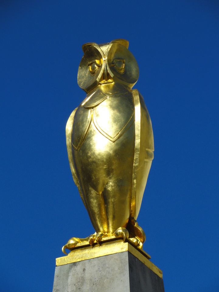 Leeds Owl | sgwarnog | Blipfoto