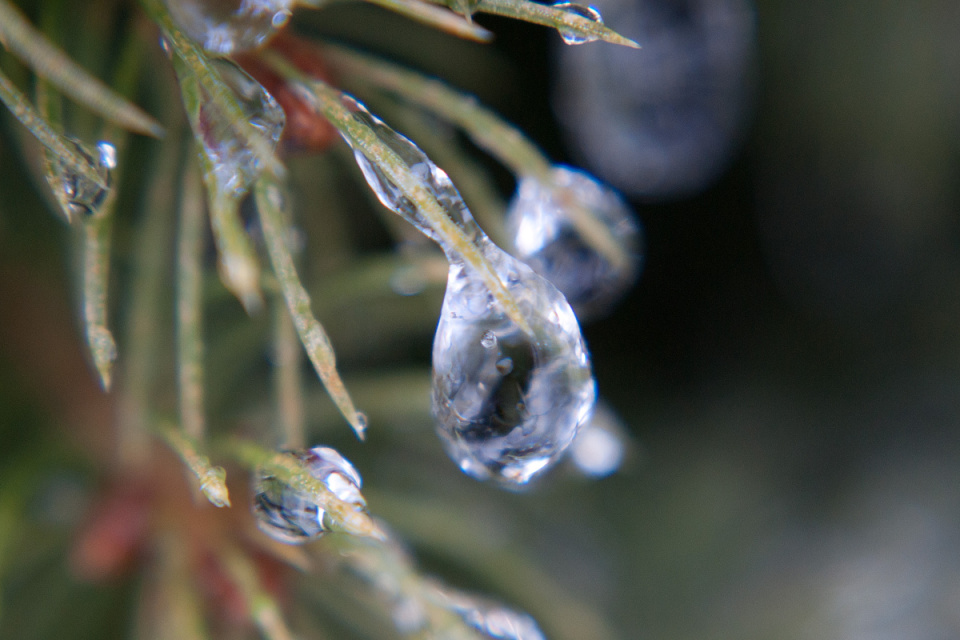 Weeping water | ScottysPixie | Blipfoto