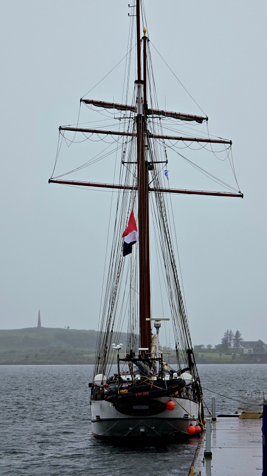 Pelting | snapper | Blipfoto