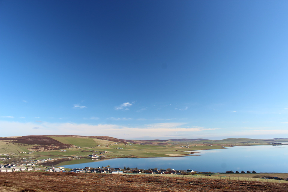 Bay of Firth (Two weeks and 5 days) | PorridgeWog | Blipfoto