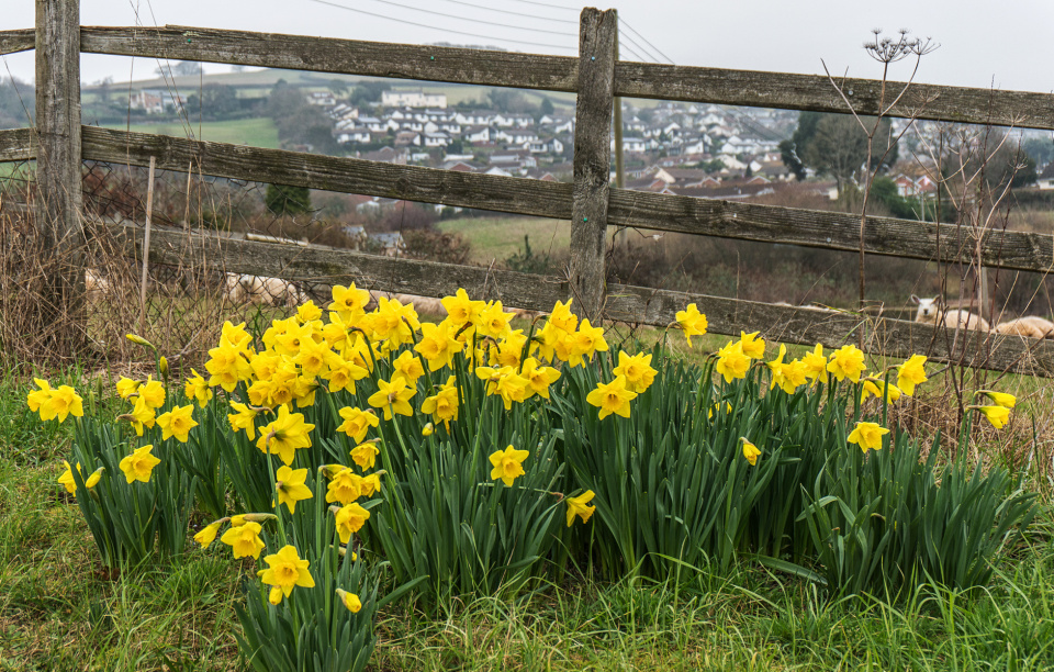 Welcome to Bishopsteignton | RockArea | Blipfoto