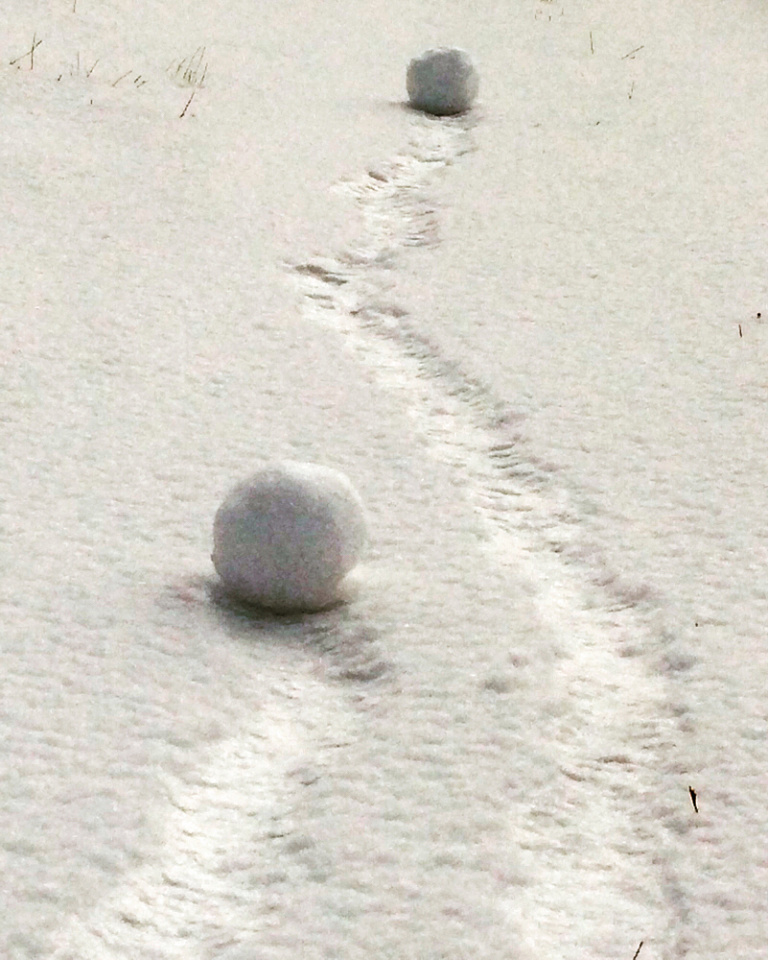 Wind-blown Snowballs | nadinepierce | Blipfoto