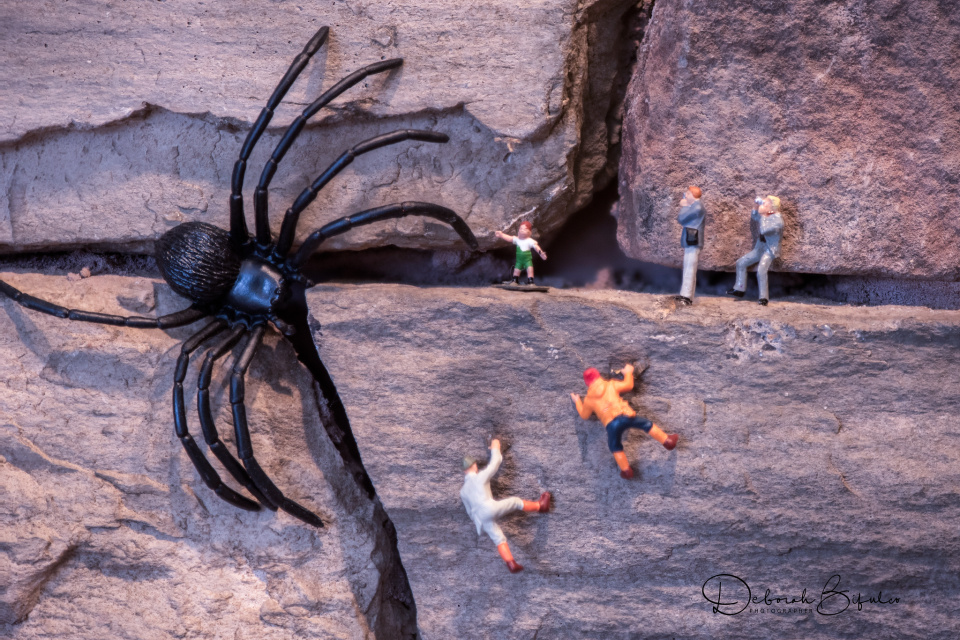 Tiny Tales of Daring-do | dbifulco | Blipfoto