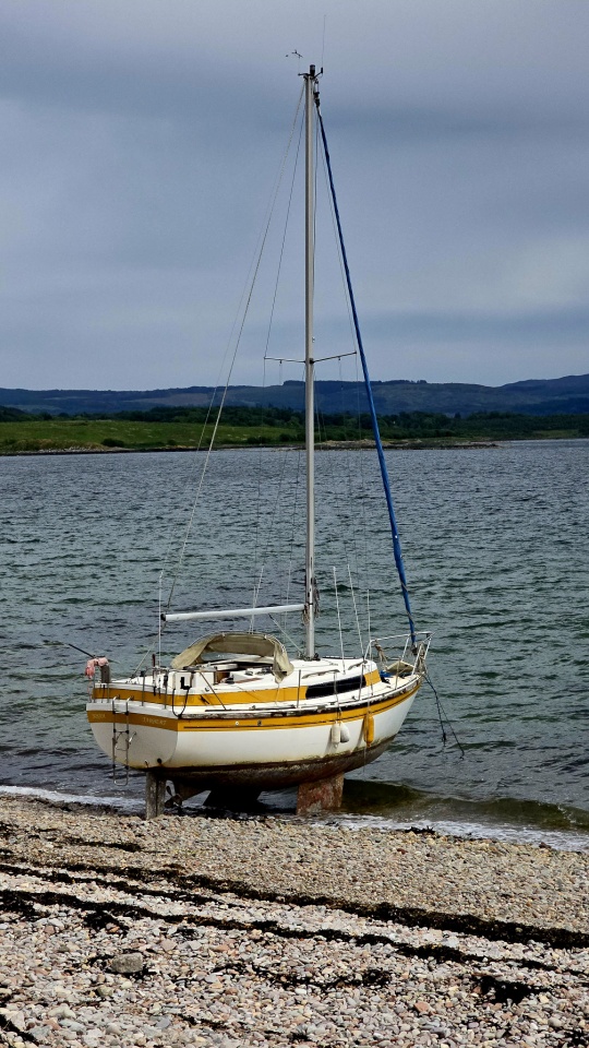 High & Dry | snapper | Blipfoto