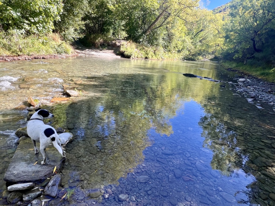 Crossing the (very low) Arrow ….. | Daring2Go | Blipfoto