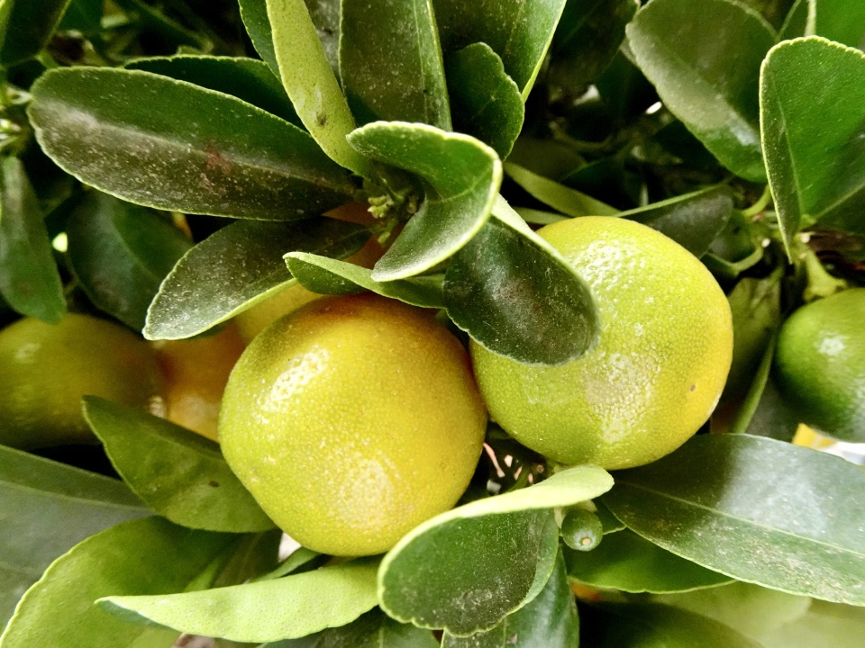 New | heanku | Blipfoto