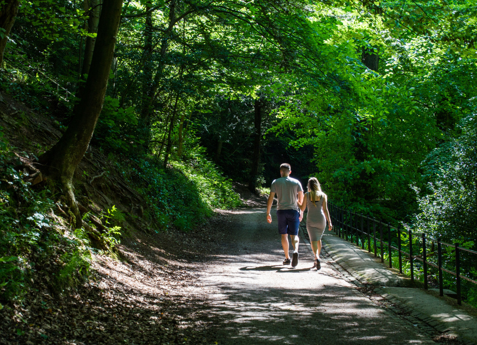 A Walk In The Woods | Kernow | Blipfoto