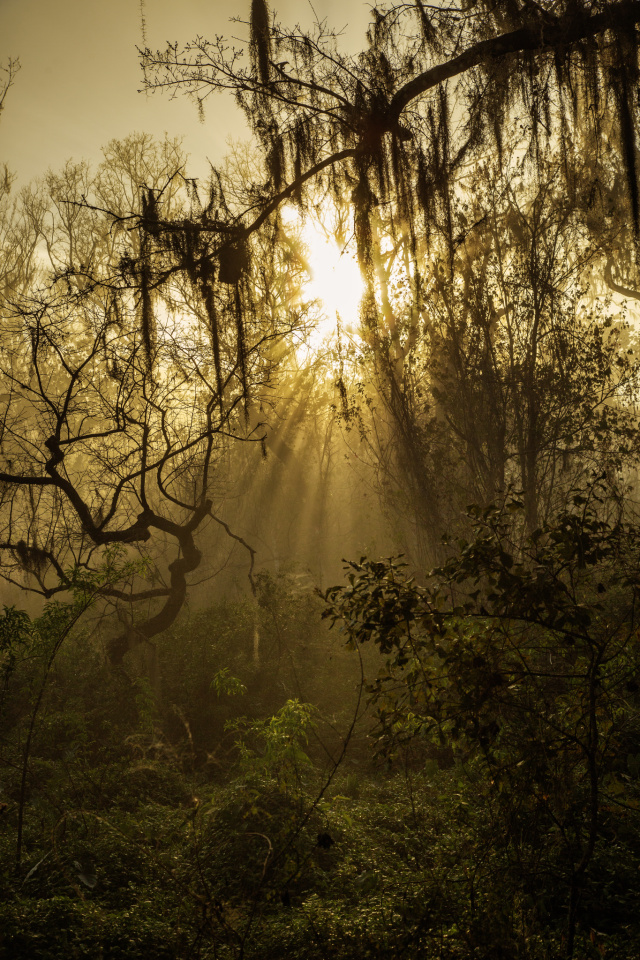 Love Those Sunrays | bugsman | Blipfoto