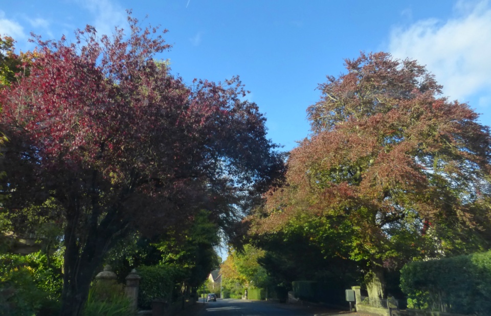 Netherlee | Skyegirl | Blipfoto