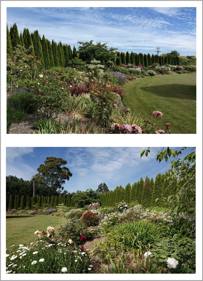 Garden | rainie | Blipfoto