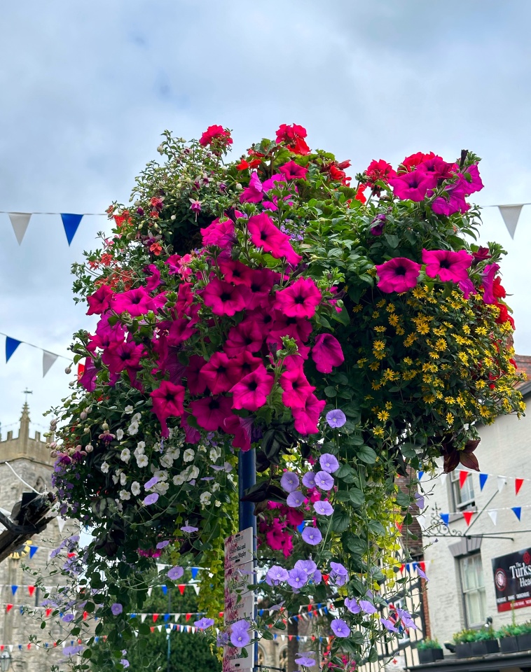 Flowery | Technophobe | Blipfoto