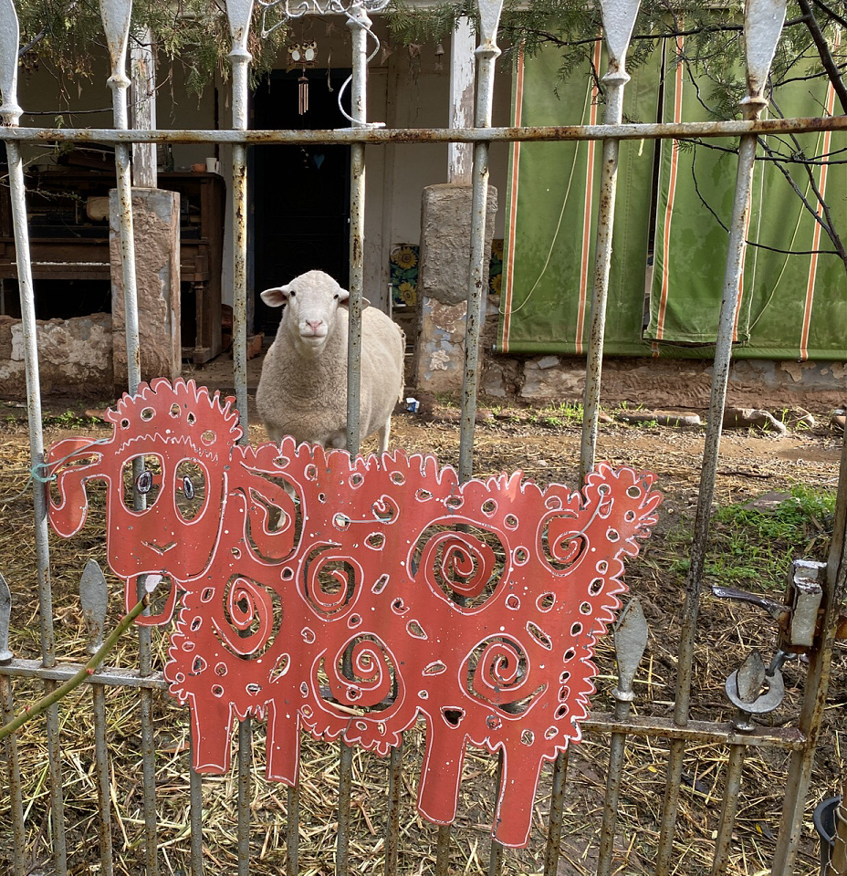 “Hello Ewe“ | Mauzee | Blipfoto