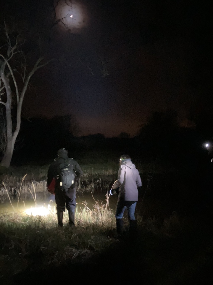 Wild Saturday night out | PollenandSula | Blipfoto