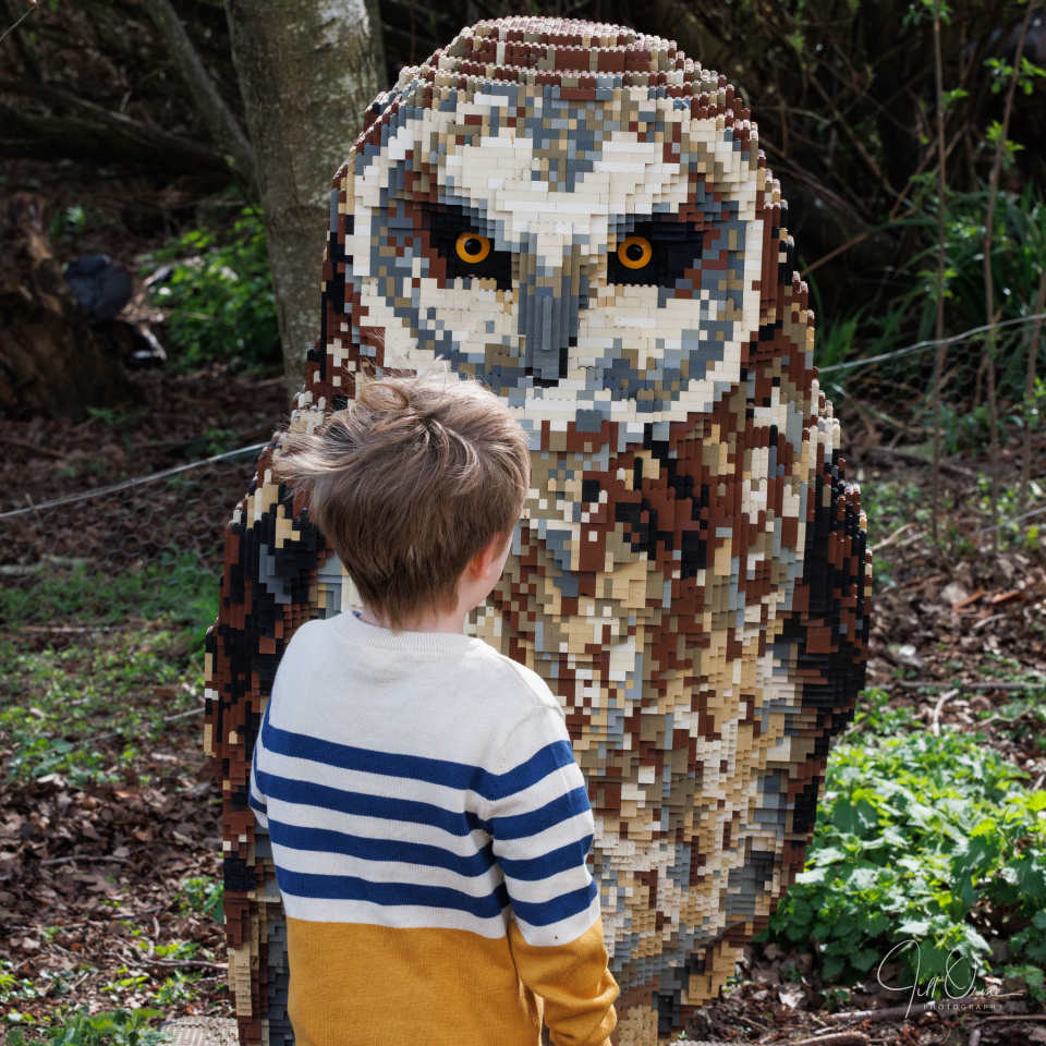 Shorties | JDO | Blipfoto