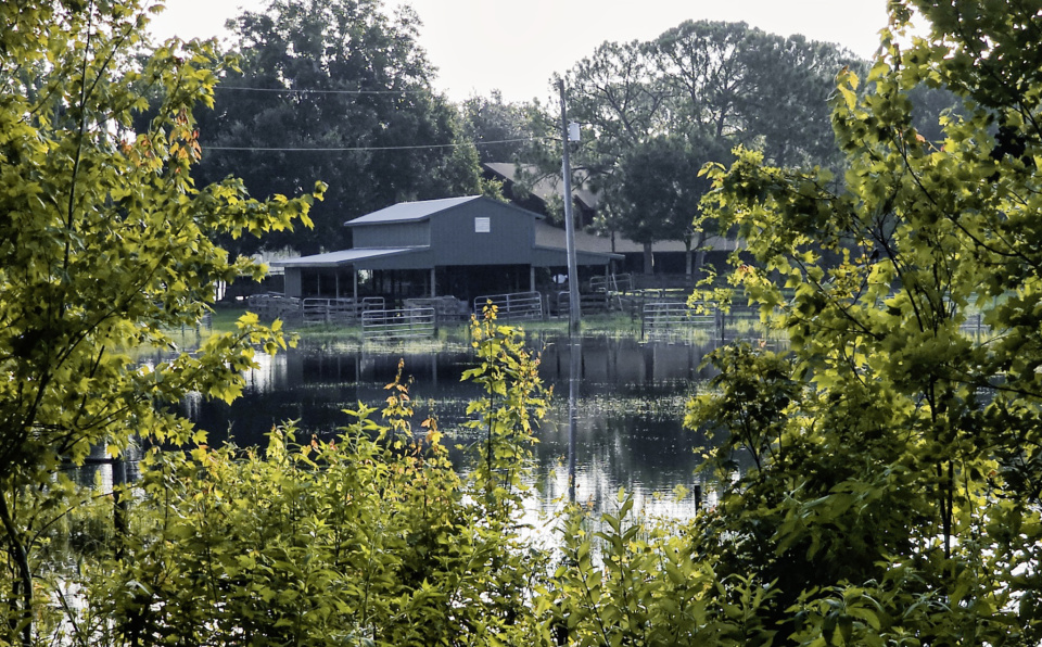 Flooded | bugsman | Blipfoto