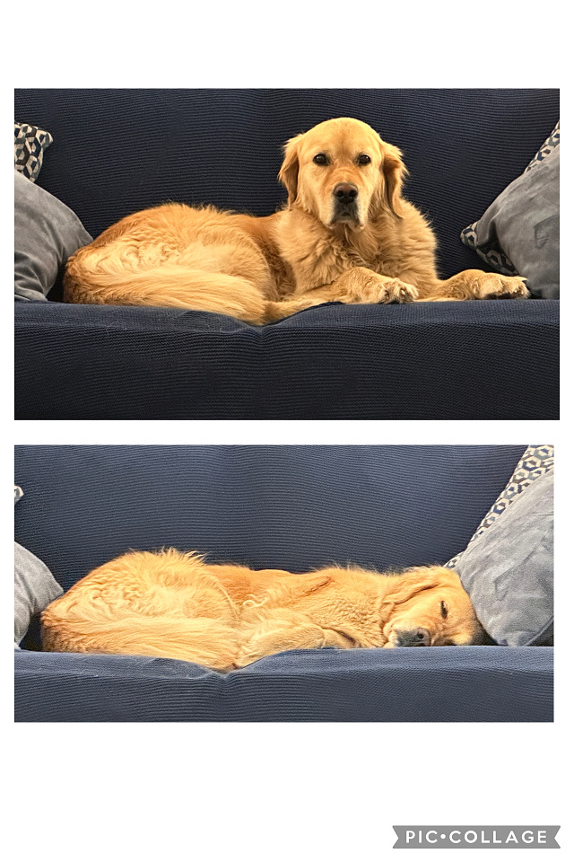 Going, gone... | Damnonii | Blipfoto