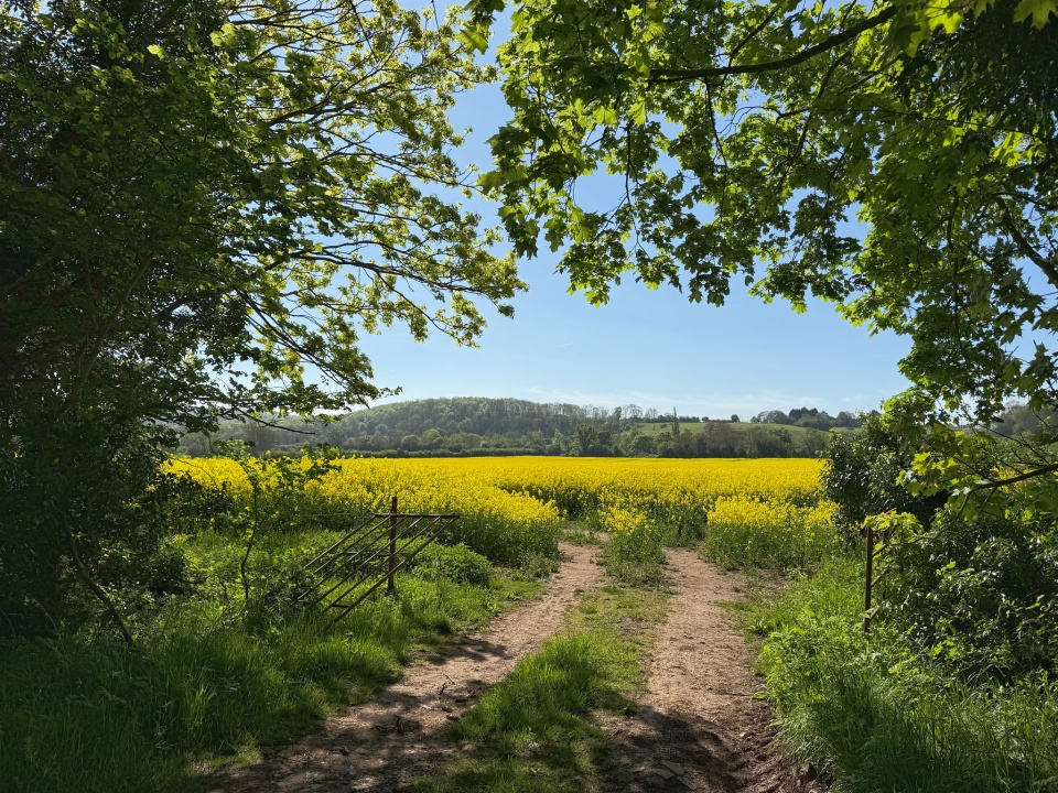 Field | Technophobe | Blipfoto