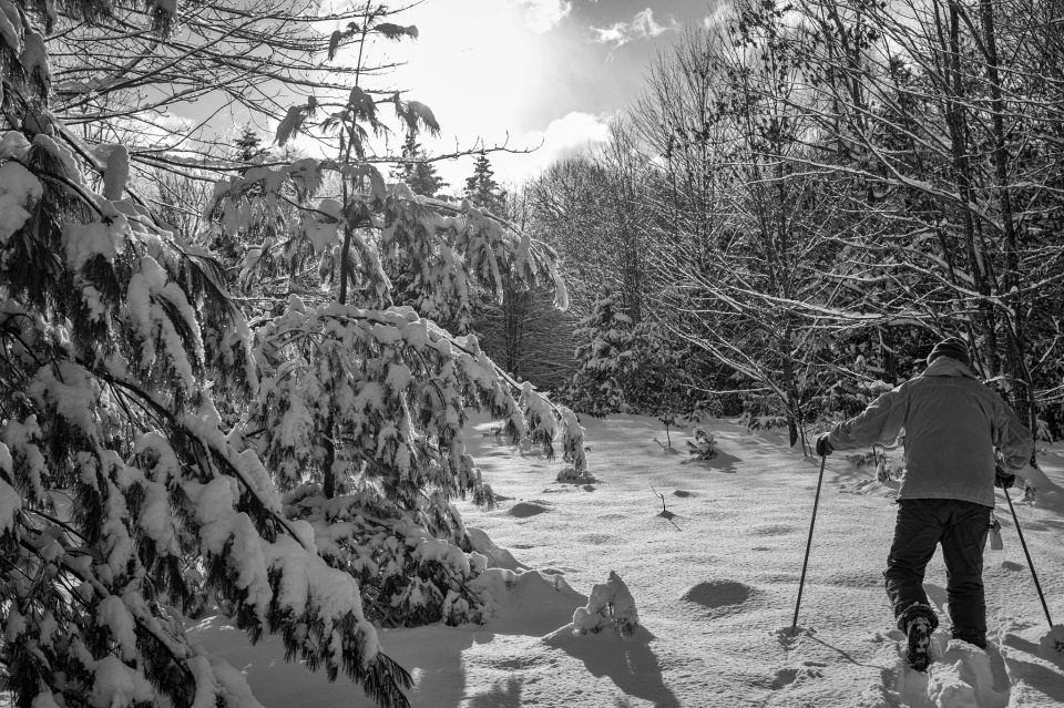 Breaking trail | Kd | Blipfoto