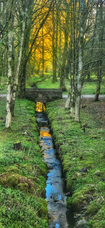 First light.. | intothehills | Blipfoto