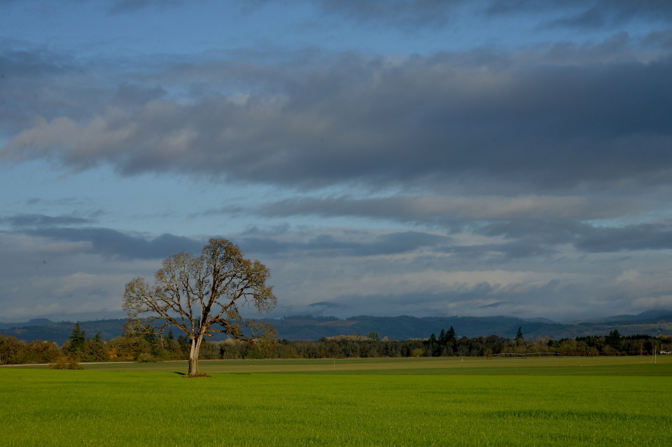Oregon Countryside | DDon | Blipfoto