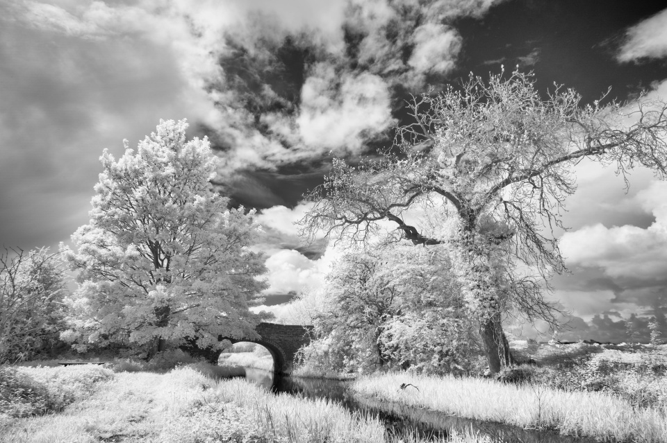 Suppporting Blipfoto | BlipCentral | Blipfoto