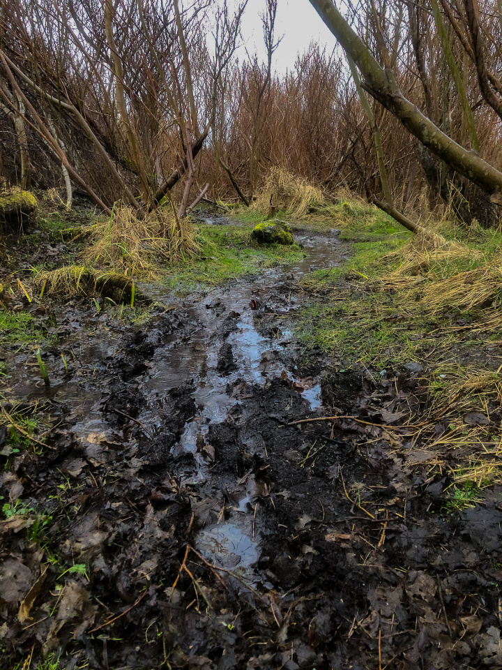 Muddy Track | Lifeat60Degrees | Blipfoto