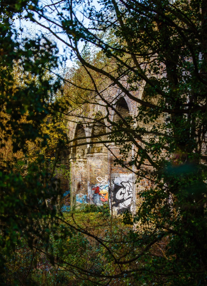 Capel's Mill railway viaduct from the riverbank | CleanSteve | Blipfoto