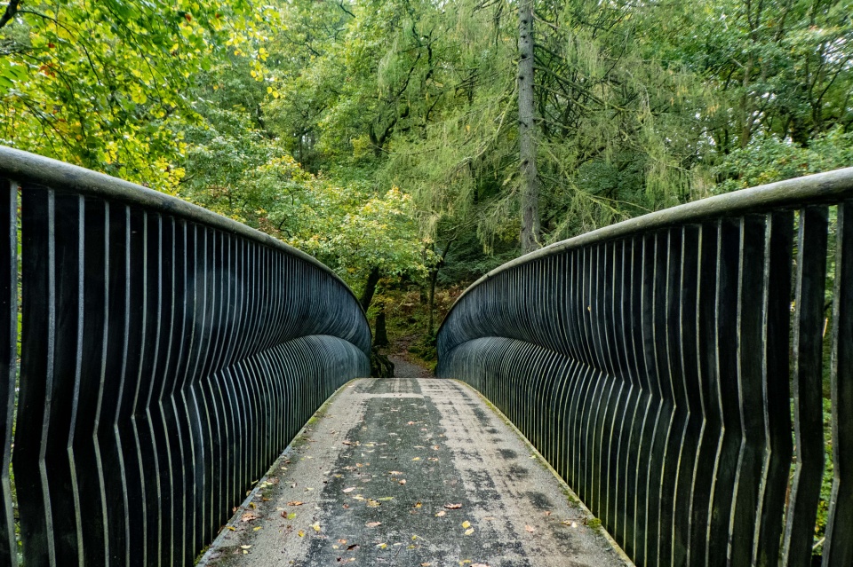 The Trevor Woodburn Bridge | Puffin | Blipfoto