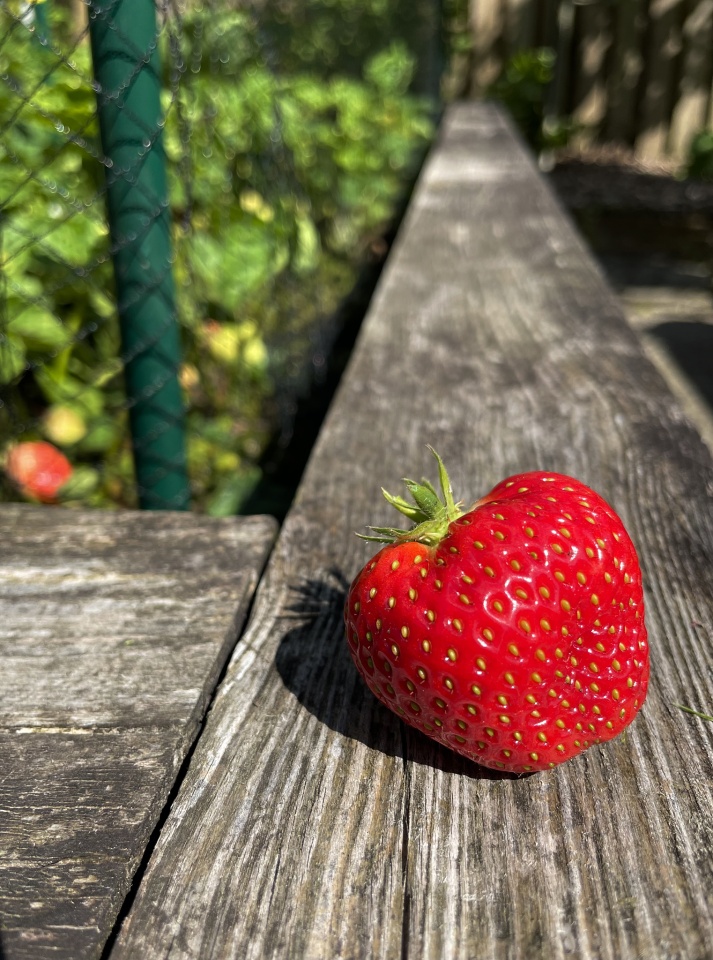 Another …….. | nell2803 | Blipfoto