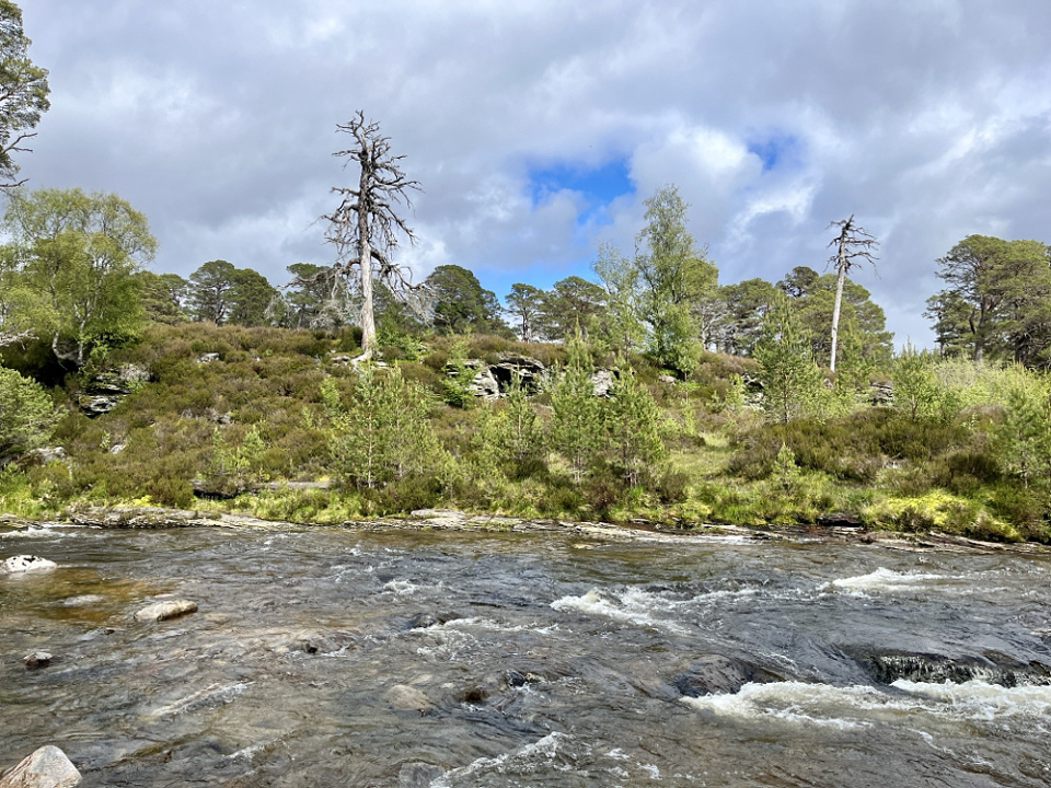 Lui Water (Day 23) | keibr | Blipfoto