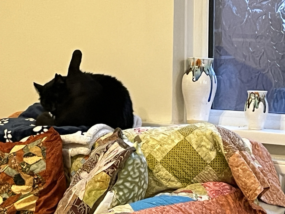 Bath time | LouiseCarr | Blipfoto