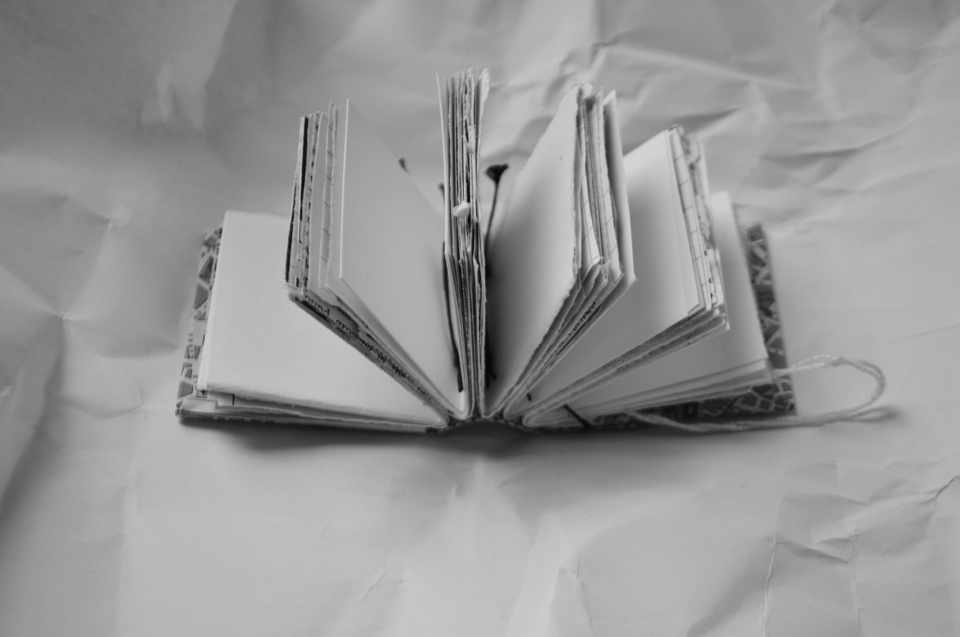 Tiny Little Book | MisterPrime | Blipfoto