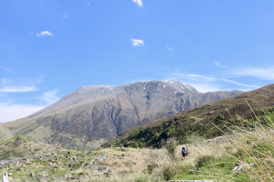 Very different | Jaybay | Blipfoto