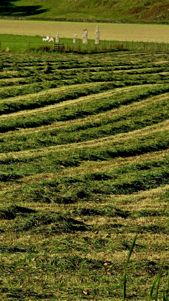 On the road again | snapper | Blipfoto