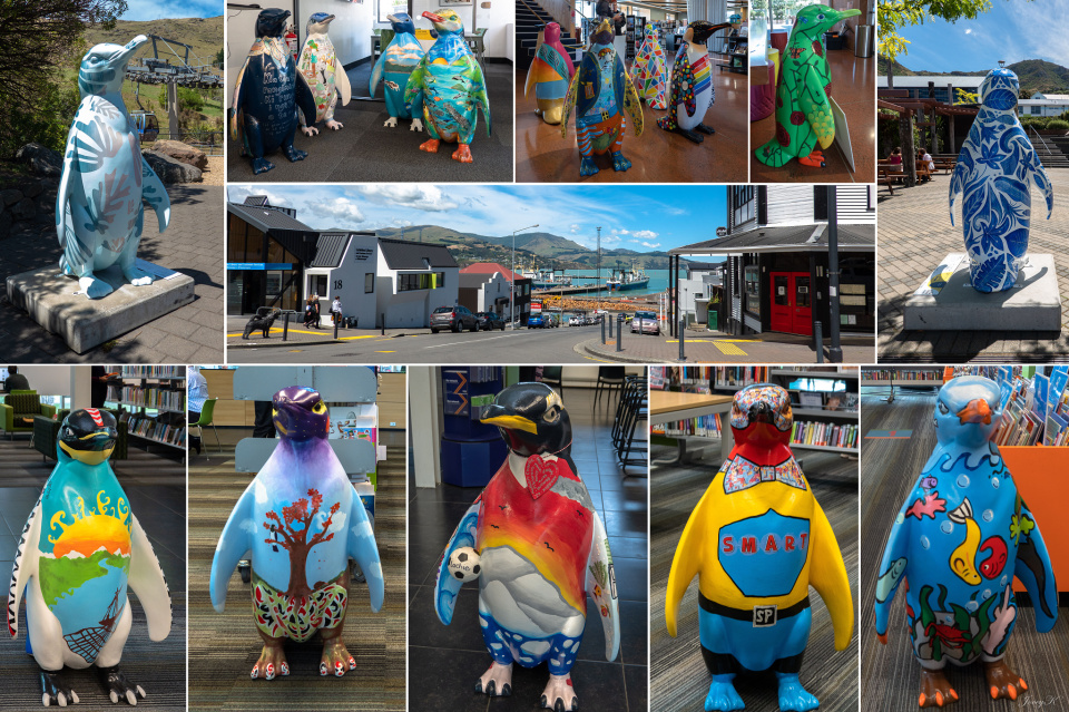 On the Penguin Trail | JMK | Blipfoto
