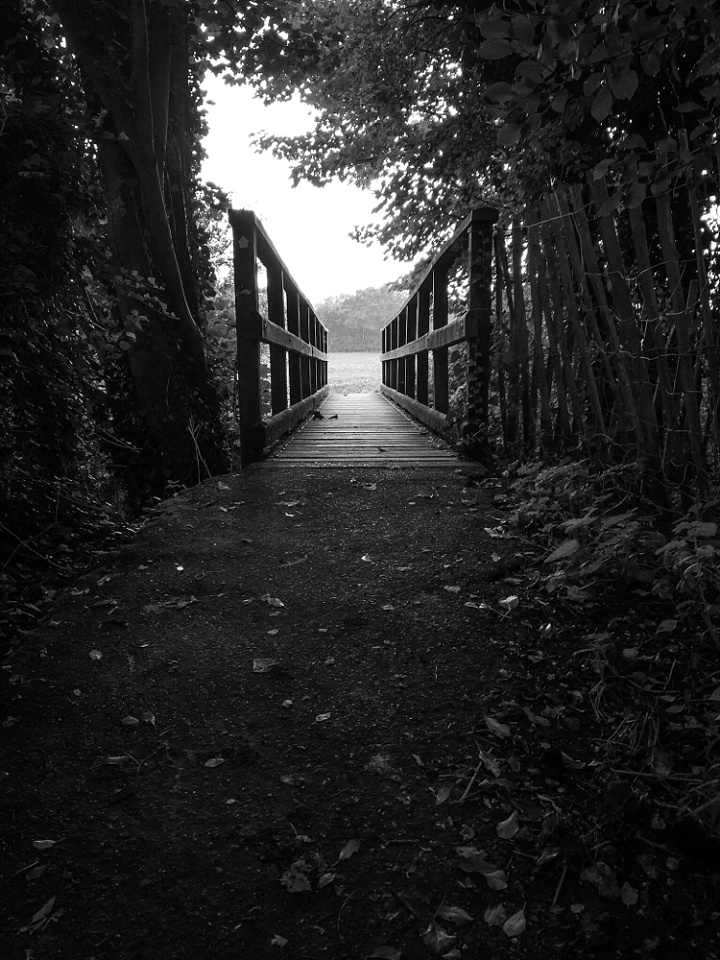 Where's that confounded bridge? | davidd | Blipfoto