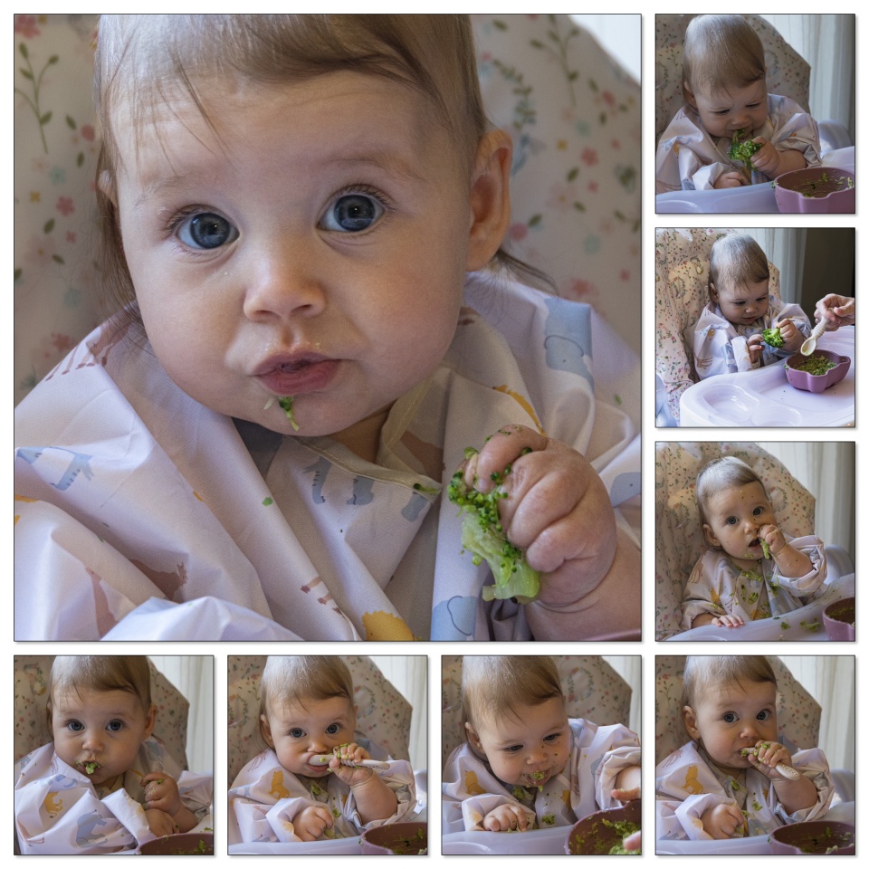 Broccoli | maureen6002 | Blipfoto