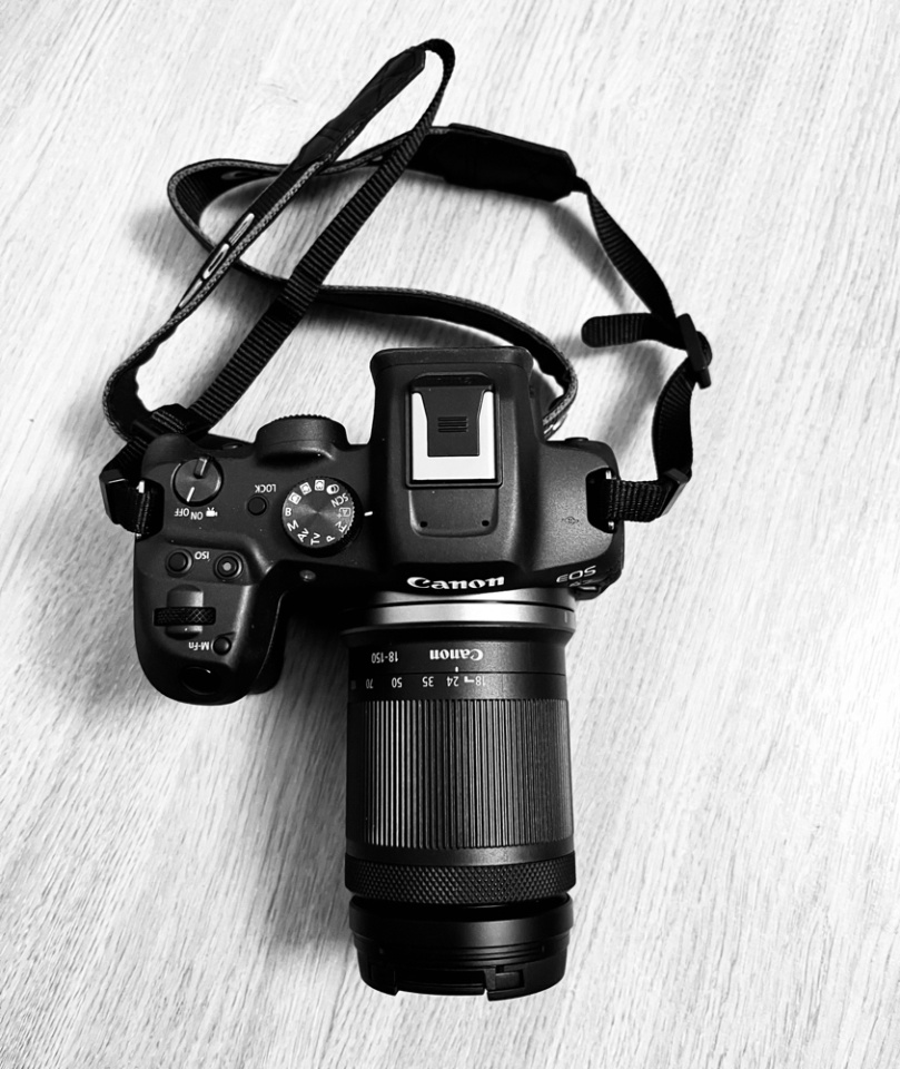 New | CherryR | Blipfoto