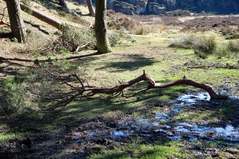 A Sad Place | earthdreamer | Blipfoto