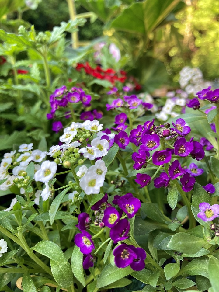 Waiting | pplnani | Blipfoto