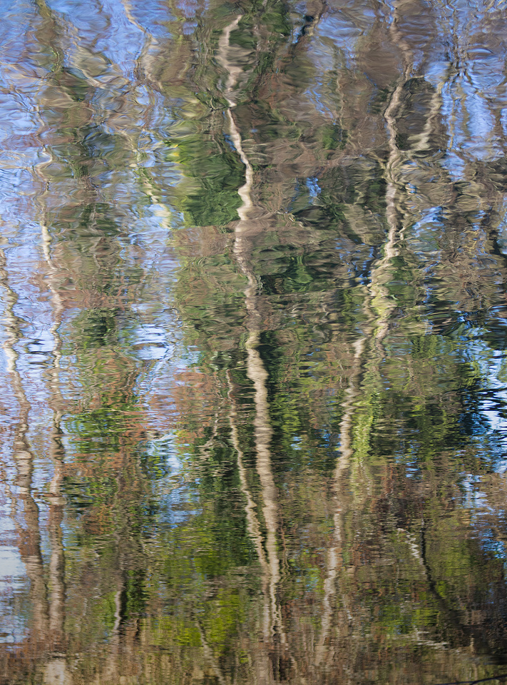 Reflections | LesleyAlsford | Blipfoto