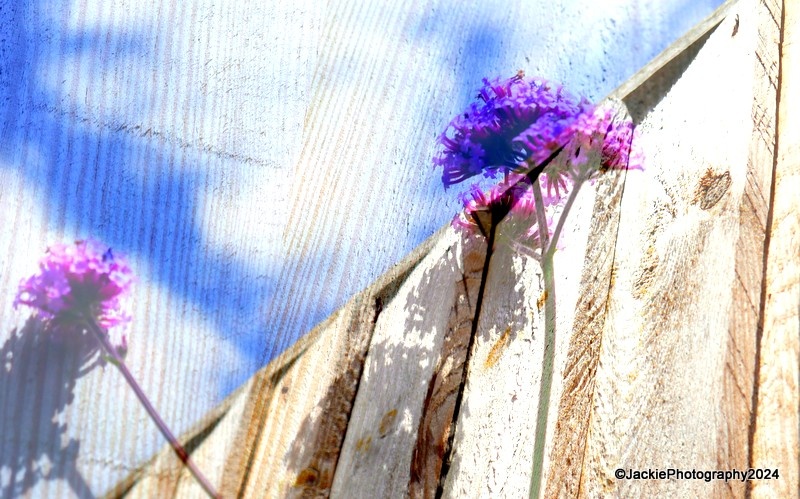 Random Abstract | ThingsBeautiful | Blipfoto