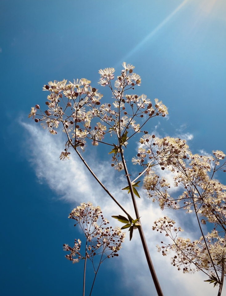 Finally….. | nell2803 | Blipfoto