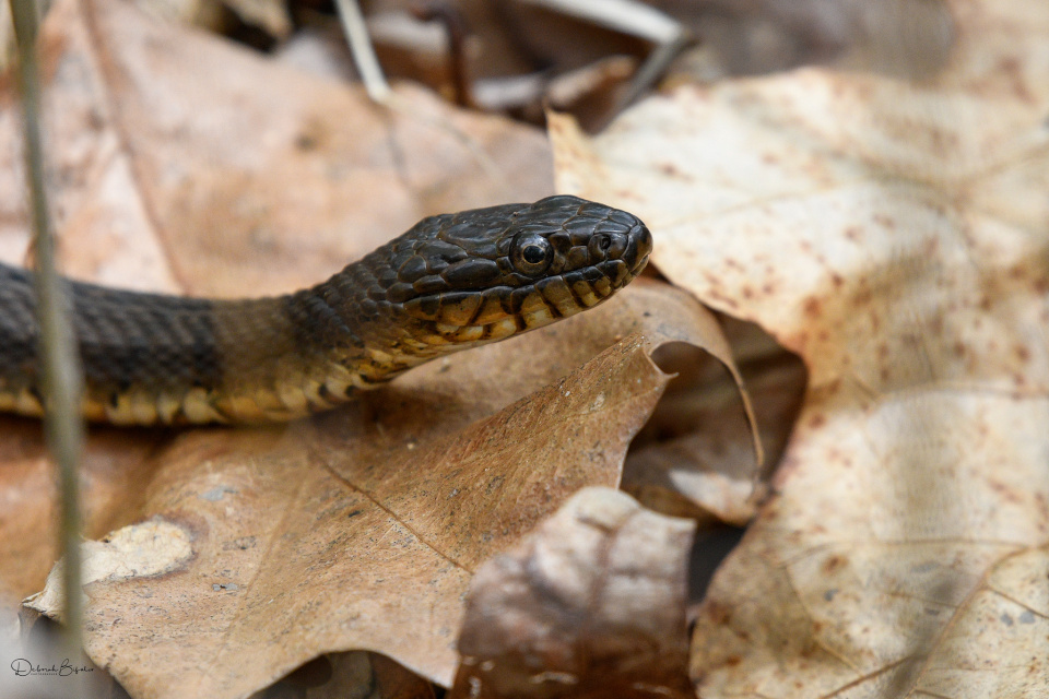 Hello there! | dbifulco | Blipfoto