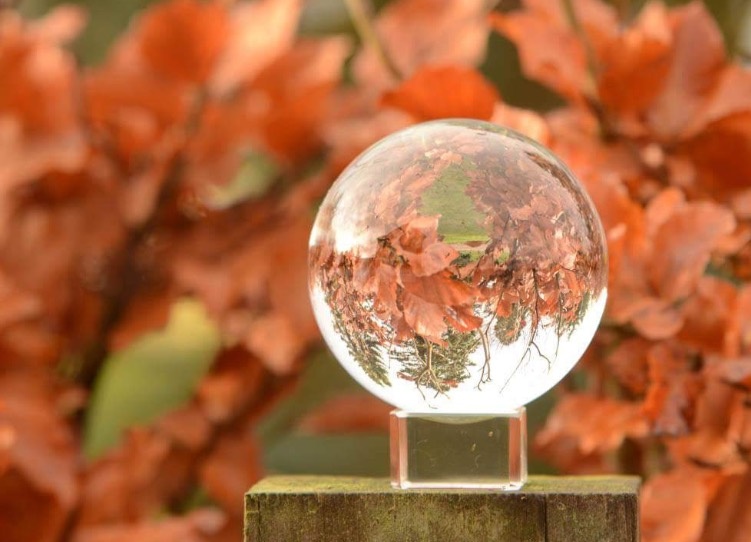 More from the ball | Alison666 | Blipfoto